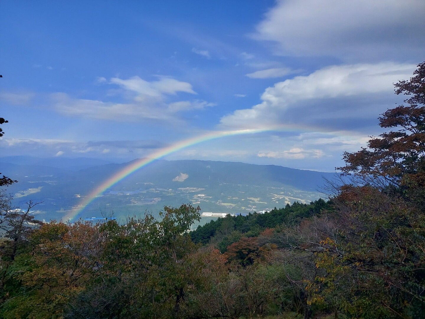 藤原岳・天狗岩 / AKEMIさんの藤原岳・御池岳の活動データ | YAMAP / ヤマップ