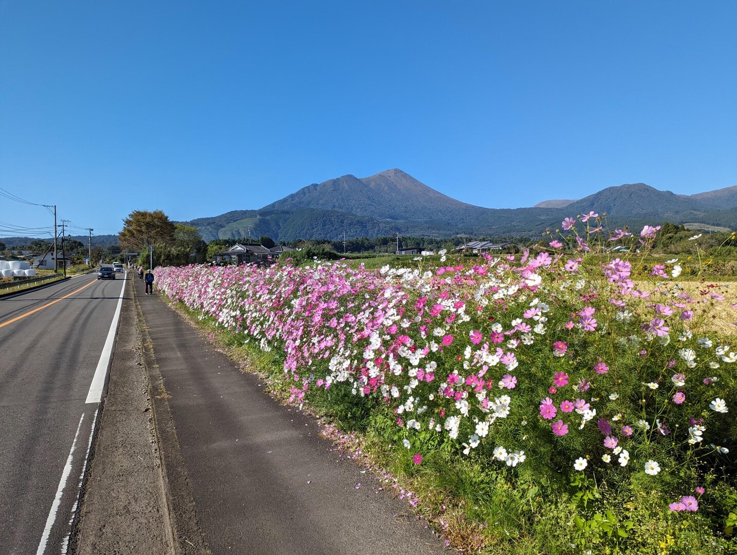 JR九州ウォーキング高原-2023-10-22 / よしきさんのウォーキングの活動データ | YAMAP / ヤマップ