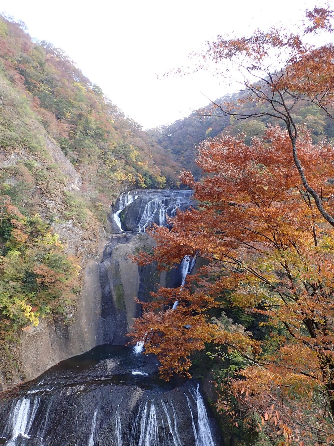 2023.11.08(水) 03:23 / momocyukeさんのモーメント | YAMAP / ヤマップ