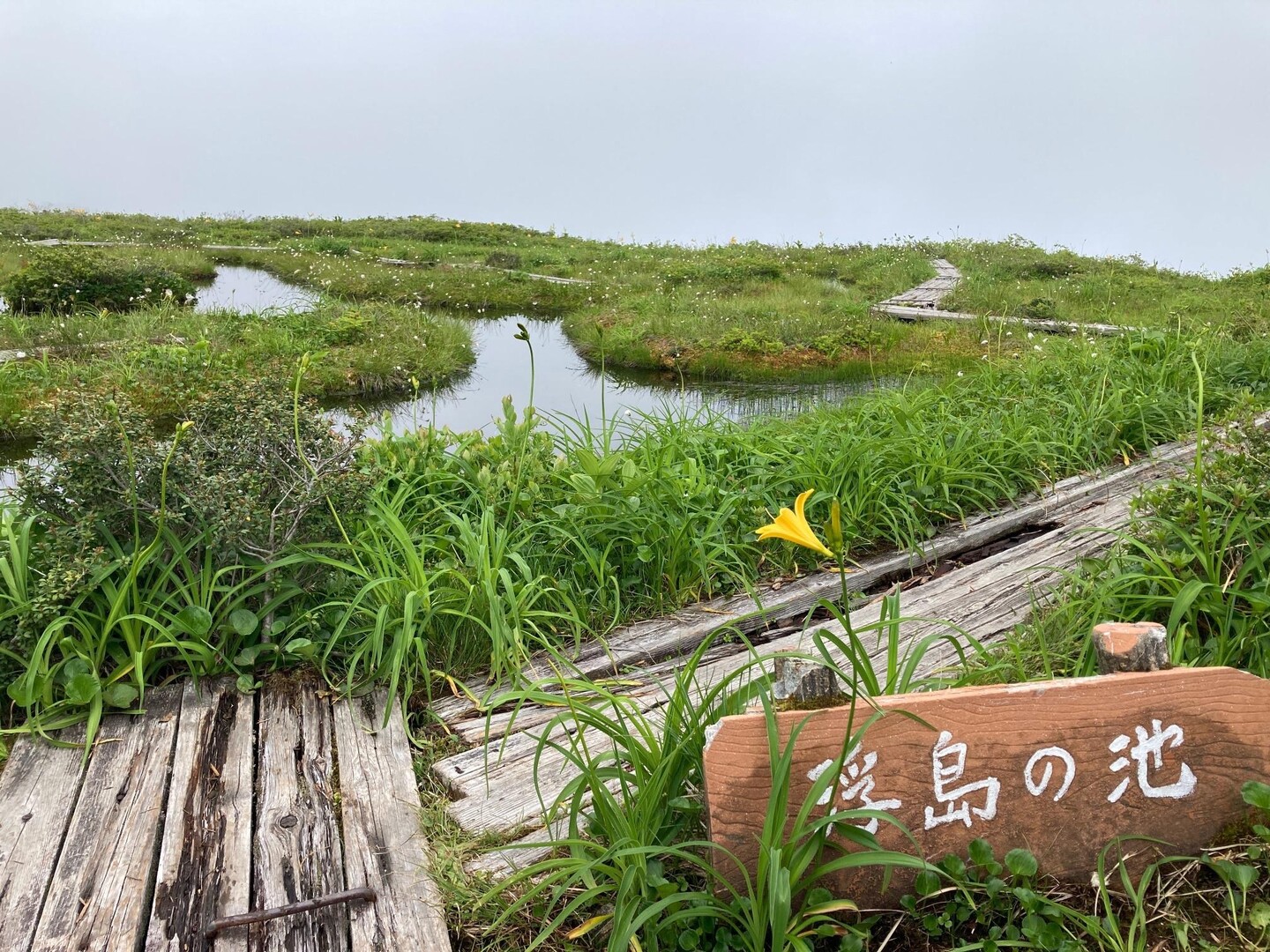 白木峰 / hachiさんの白木峰・小白木峰の活動データ | YAMAP / ヤマップ