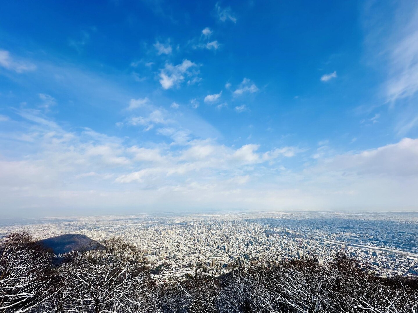 冬の札幌 藻岩山(もいわやま、インカルシぺ) / Komeさんの藻岩山の活動データ | YAMAP / ヤマップ