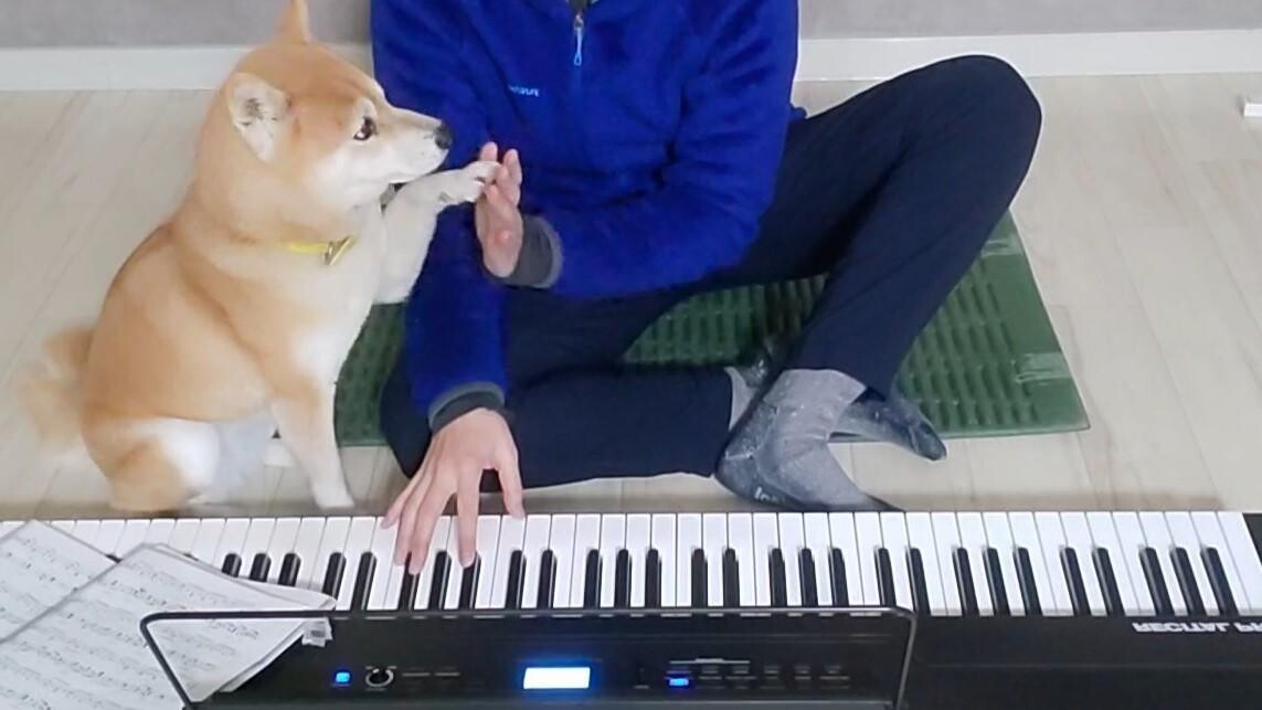 ウォーキング / damens さんの大津市の活動データ | YAMAP / ヤマップ