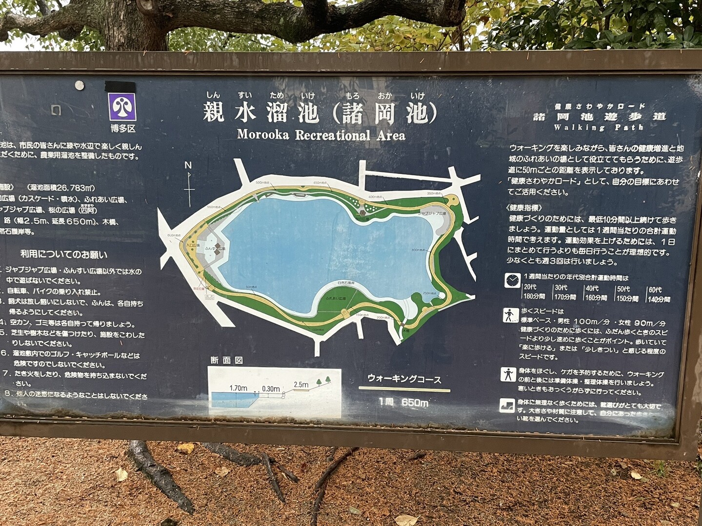 明け山行vol.32-2 諸岡池 🚶‍♂️1周ウォーカー〈2周目〉 / こうのすけさんのウォーキングの活動データ | YAMAP / ヤマップ