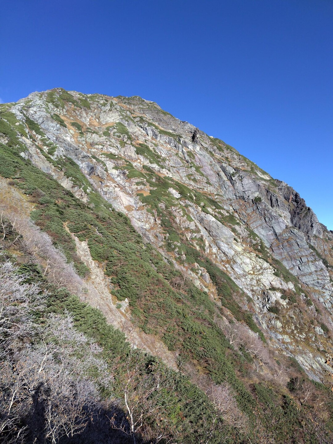 紅葉の北岳 / CB-Genさんの北岳・間ノ岳・農鳥岳の活動データ | YAMAP / ヤマップ