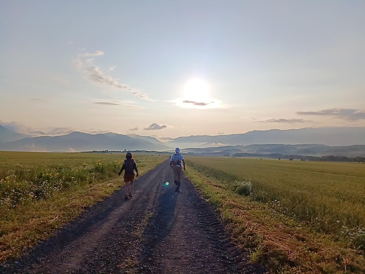 大雪山トレイルジャーニー60kmスイーパー / shinさんのニセイカウシュッペ山・平山・朝陽山の活動日記 | YAMAP / ヤマップ