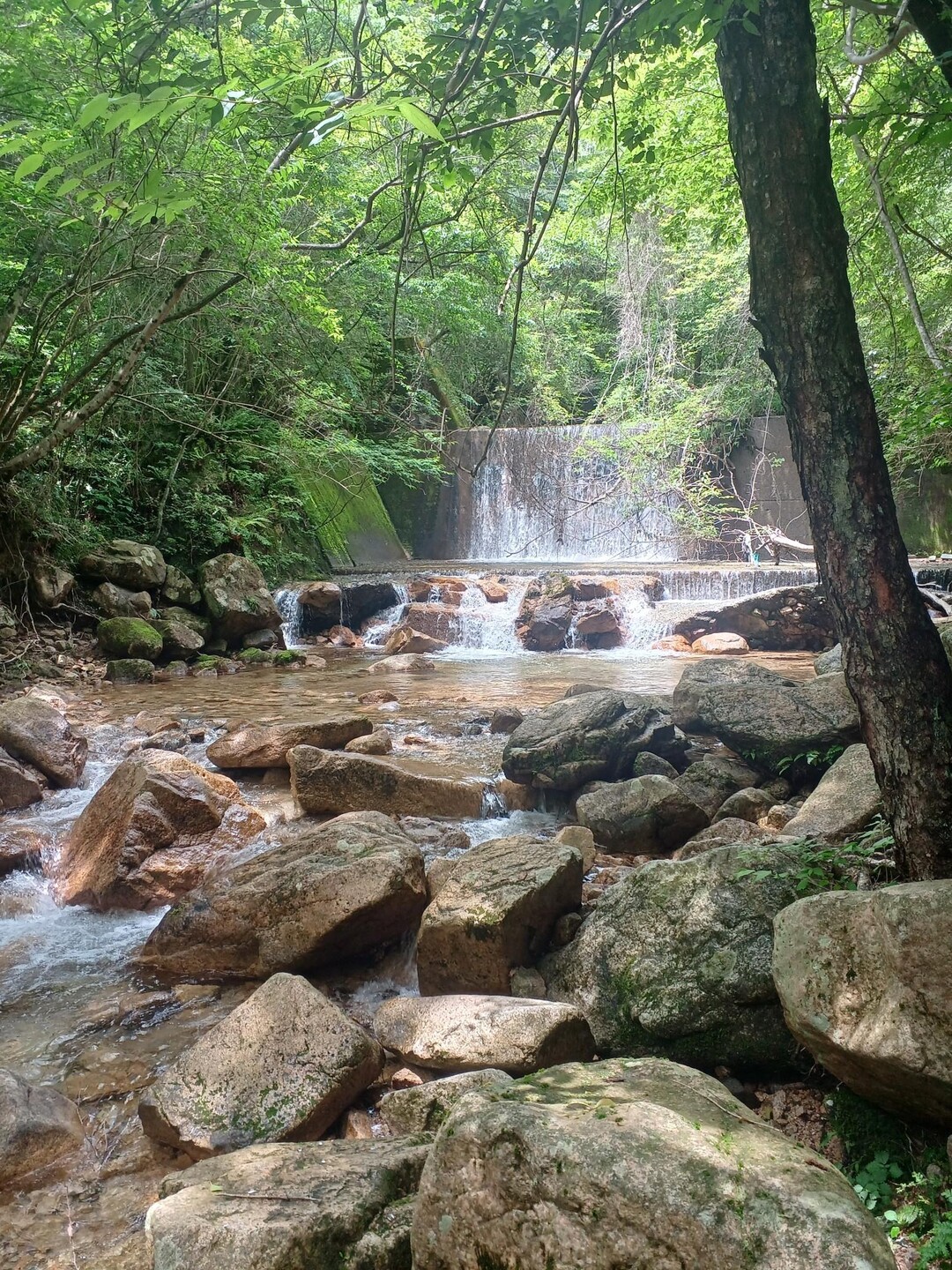 JR生瀬駅～甲山～阪急仁川駅 / おそっぷさんの六甲山・長峰山・摩耶山の活動データ | YAMAP / ヤマップ