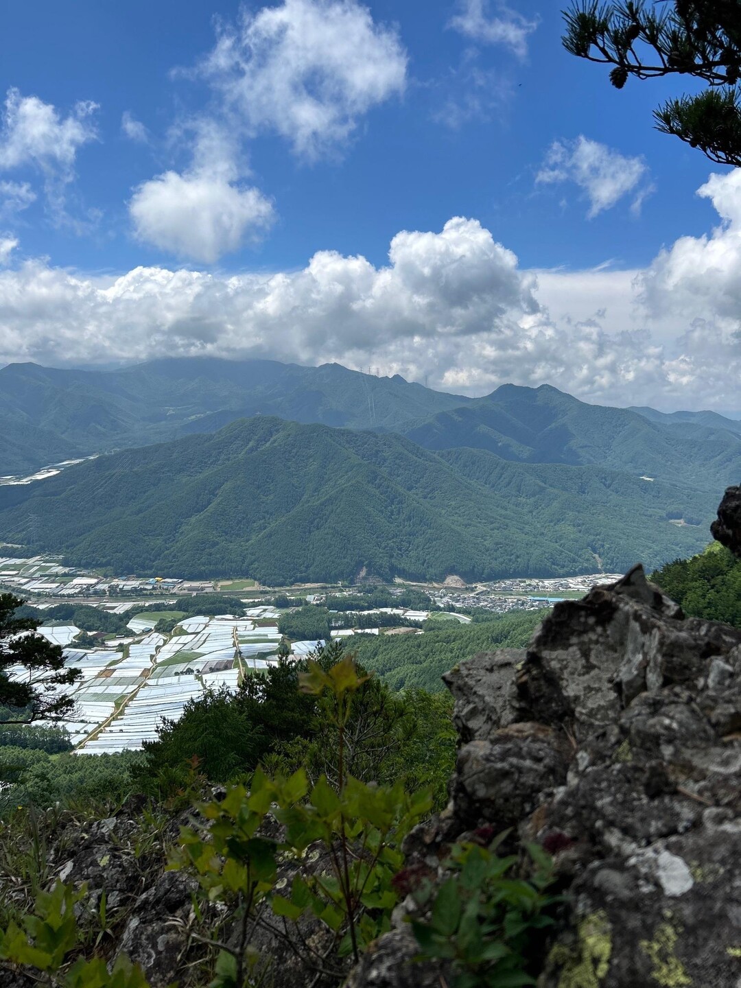 天狗山で天狗焼👺ミッション👍😆 / conyさんの男山・天狗山の活動データ | YAMAP / ヤマップ
