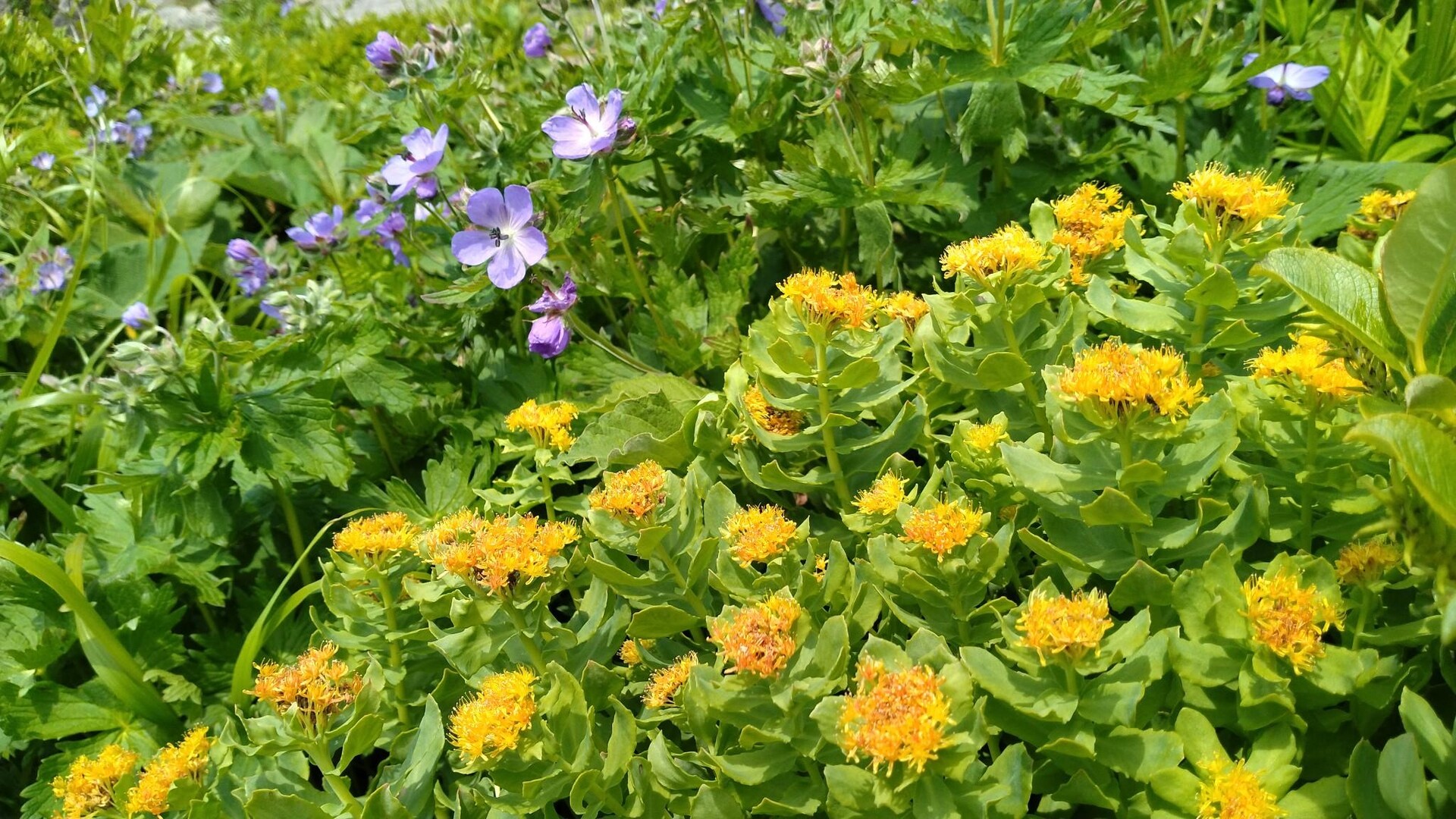 今 だから見えるものとご縁頂くこと里山で... / akiさんのモーメント | YAMAP / ヤマップ