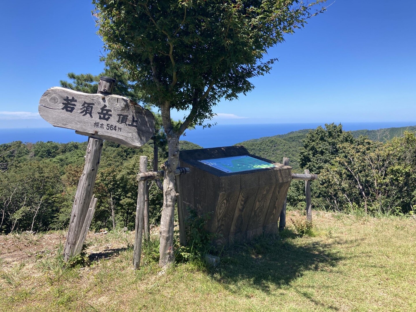 若須岳 / mi_chicoさんの若須岳の活動日記 | YAMAP / ヤマップ