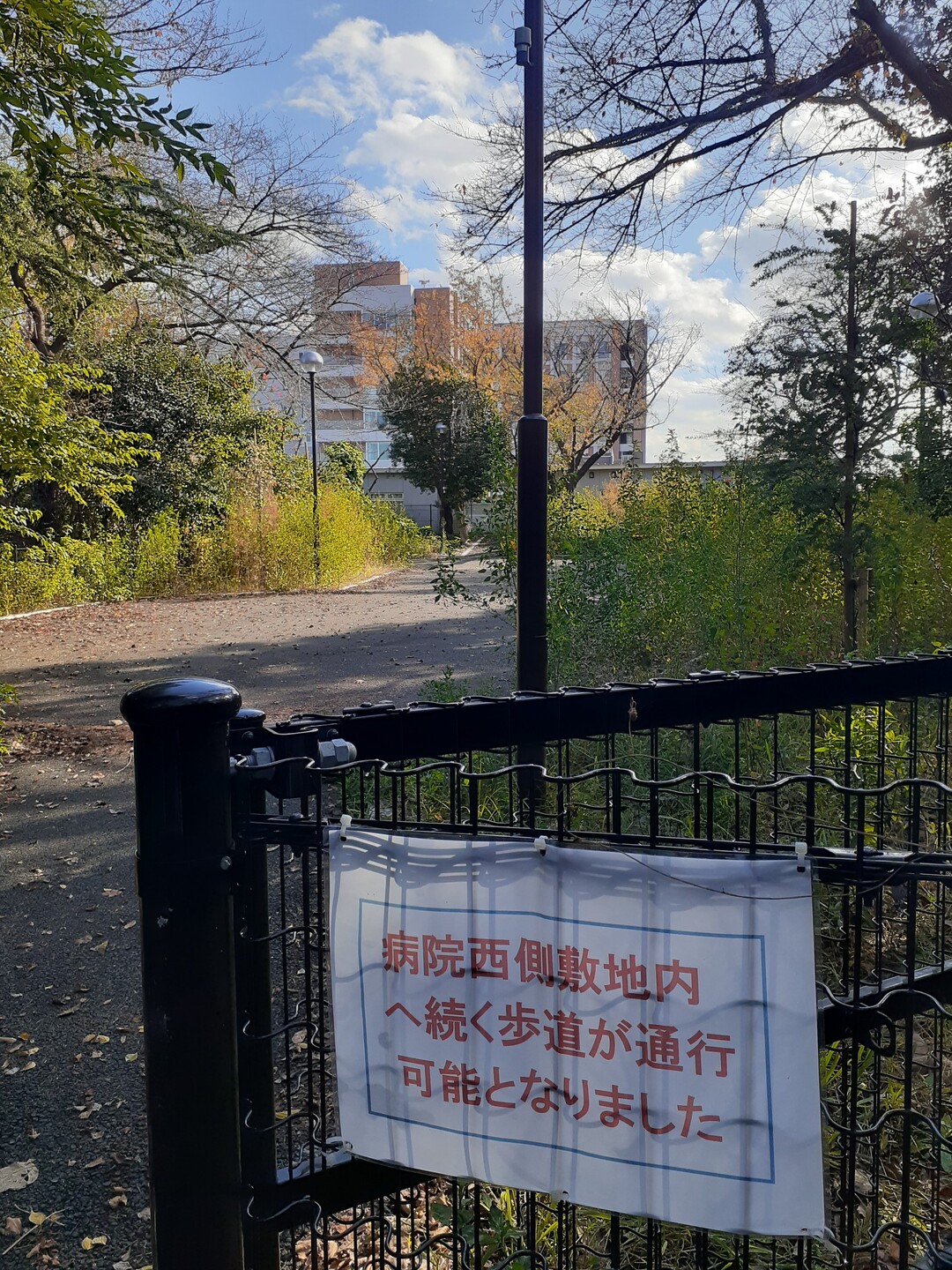 ko usさんの投稿したフィールドメモ | YAMAP / ヤマップ