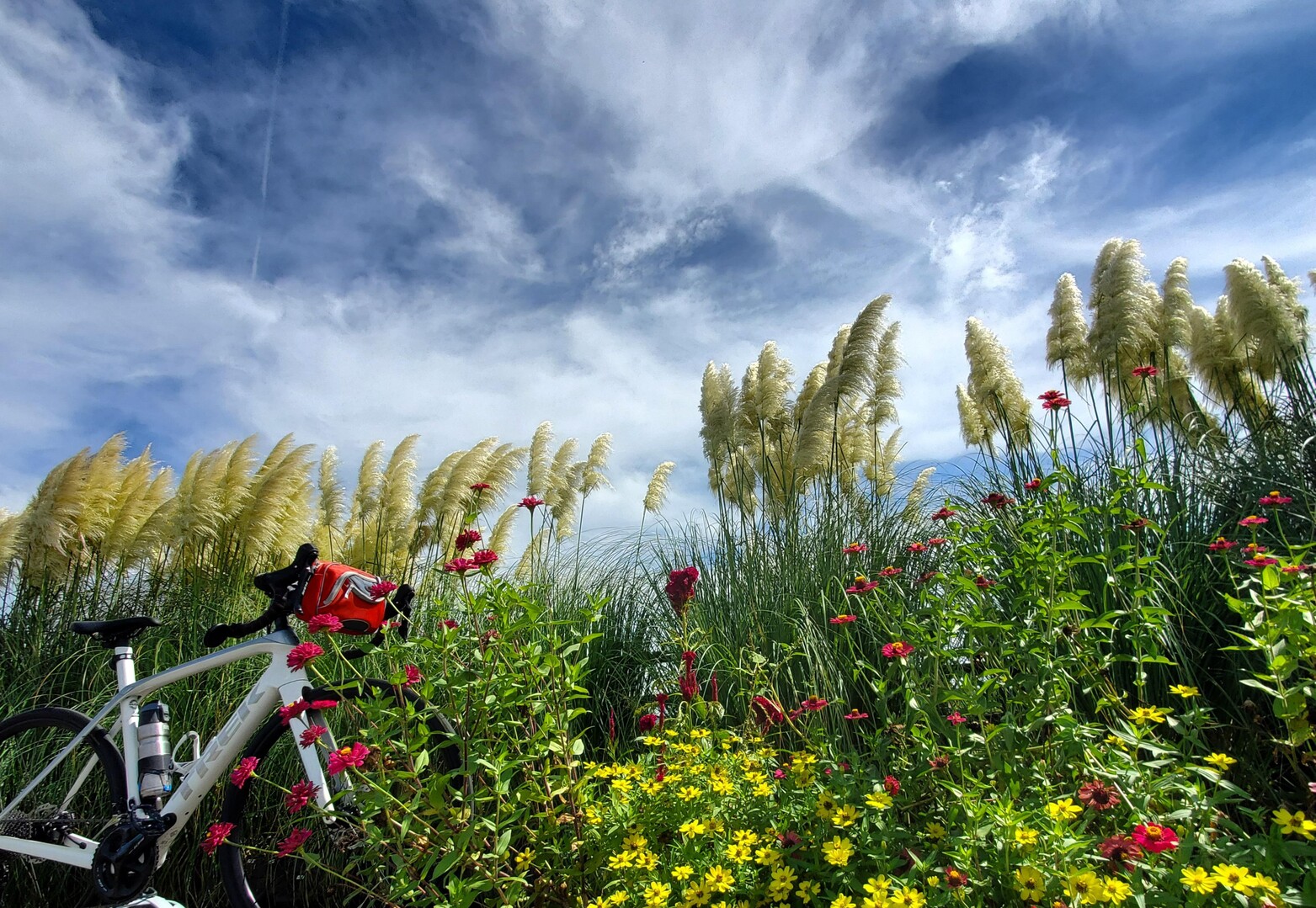 近隣を🚴ポタリング / airiskochanさんのモーメント | YAMAP / ヤマップ