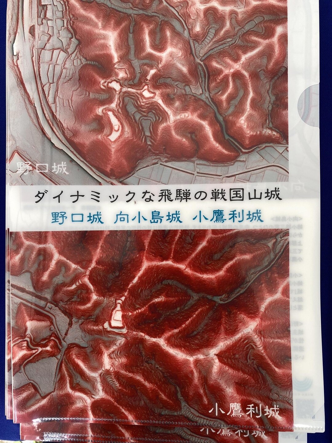 岐阜にある城山の赤色クリアーファイルを無... / なかみちさんのモーメント | YAMAP / ヤマップ