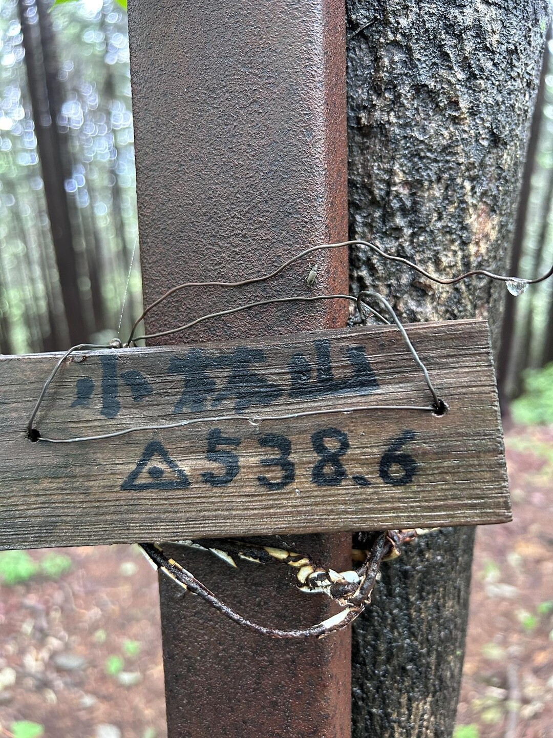 小林山 / MC HIROさんの宝登山・長瀞アルプス・不動山・陣見山・鐘撞堂山の活動データ | YAMAP / ヤマップ