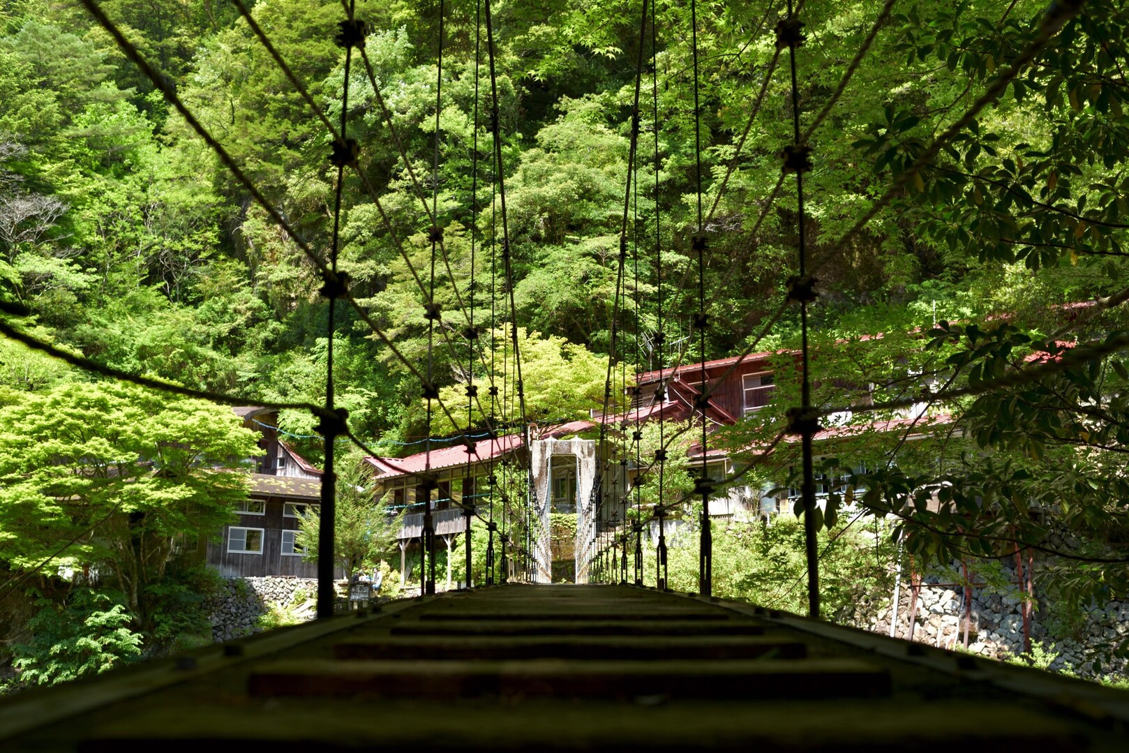 日本三大渓谷 大杉谷 / ⛅Nori-jiさんの大台ヶ原山・日出ヶ岳・大杉谷の活動データ | YAMAP / ヤマップ