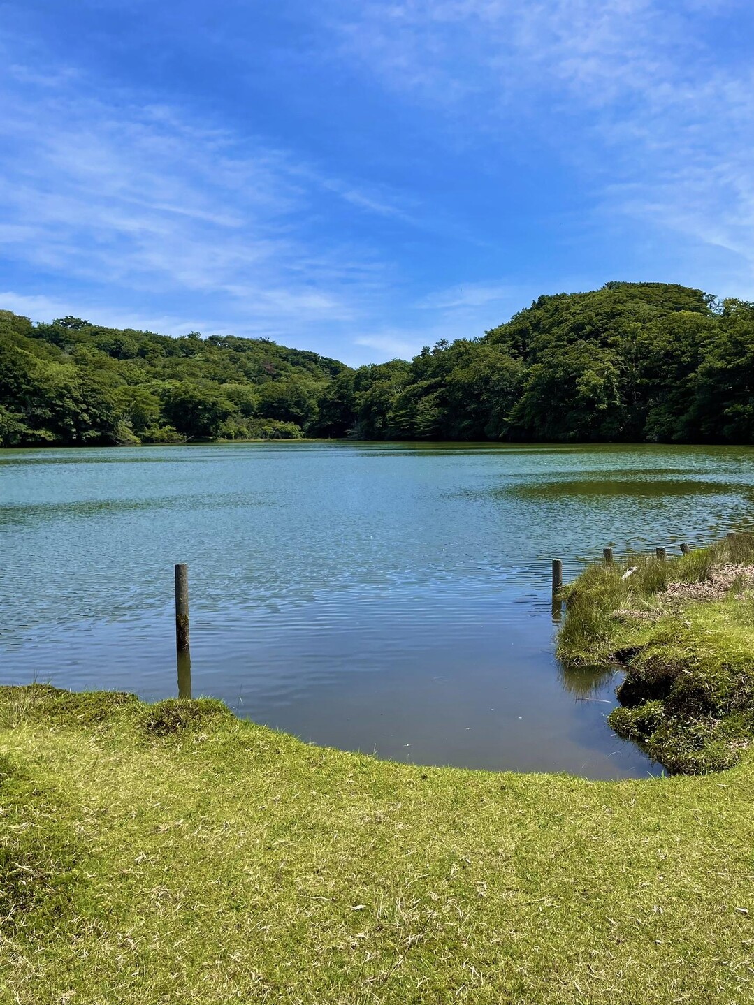 【天城山】ニシエヒガシエ🎧東カラ西ヘノ森林縦走🌳☀️.° / N☆B☆Jさんの天城山・鉢ノ山・三筋山の活動データ | YAMAP / ヤマップ