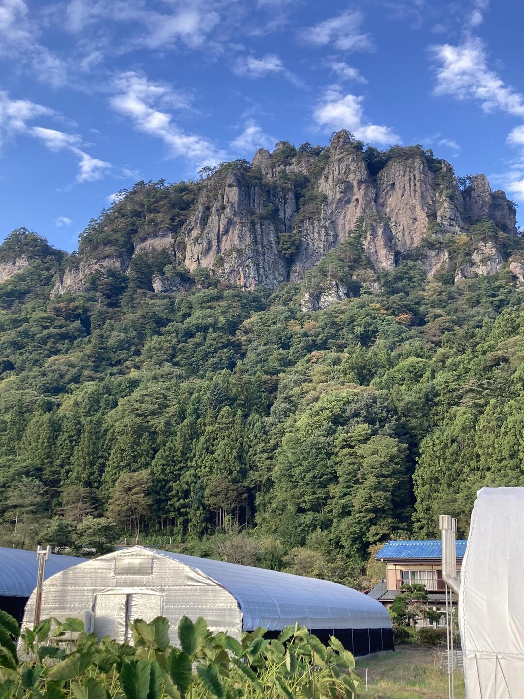 岩櫃山 / Nora 🐈‍⬛さんの岩櫃山・薬師岳・吾嬬山の活動データ | YAMAP / ヤマップ