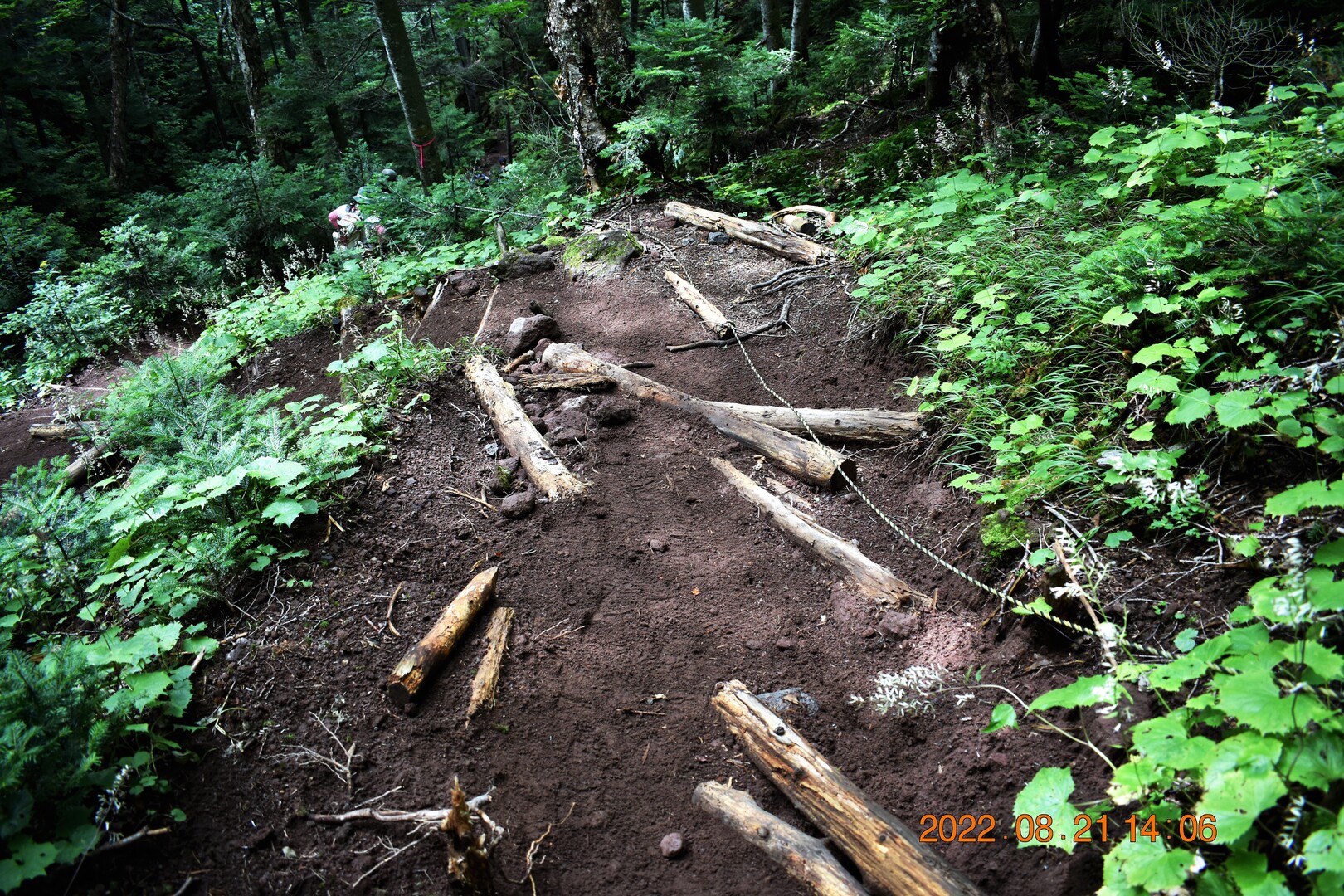 ピエール・HOSHIさんの投稿したフィールドメモ | YAMAP / ヤマップ