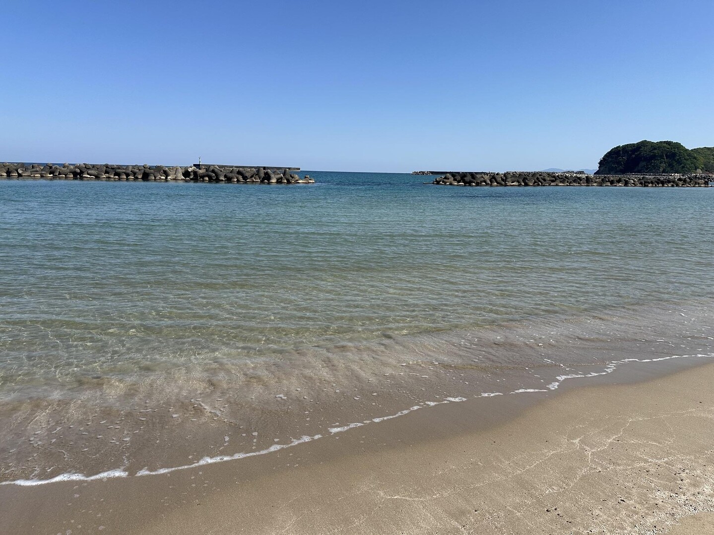 Sea to 三瓶山 / 葉子さんの三瓶山・大平山の活動データ | YAMAP / ヤマップ