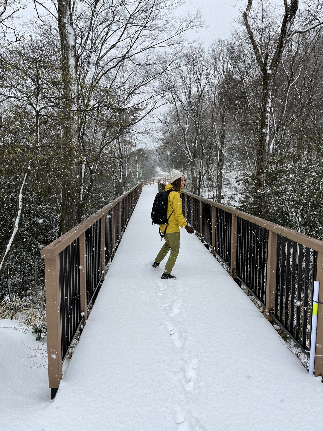 菰野富士へ⛰ YAMAPの地図がでなくっ... / ︎ Risaさんのモーメント | YAMAP / ヤマップ
