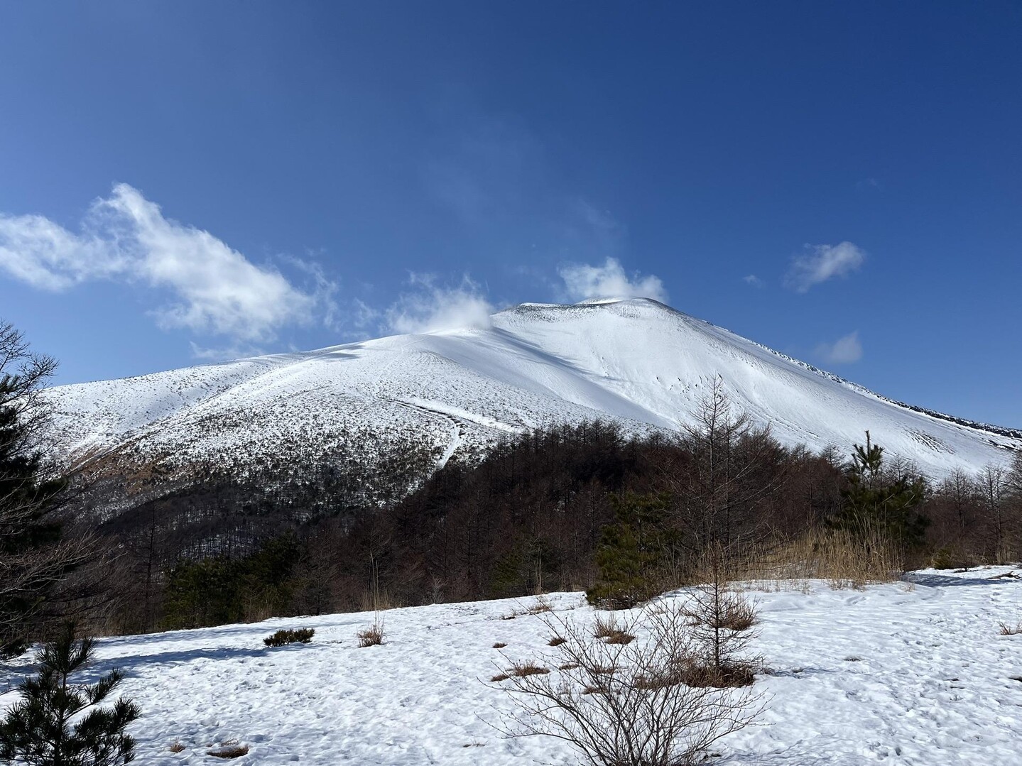 やったねイケメン🏔️本日も快晴なり🟦 / whaleさんの浅間山・黒斑山・篭ノ登山の活動データ | YAMAP / ヤマップ