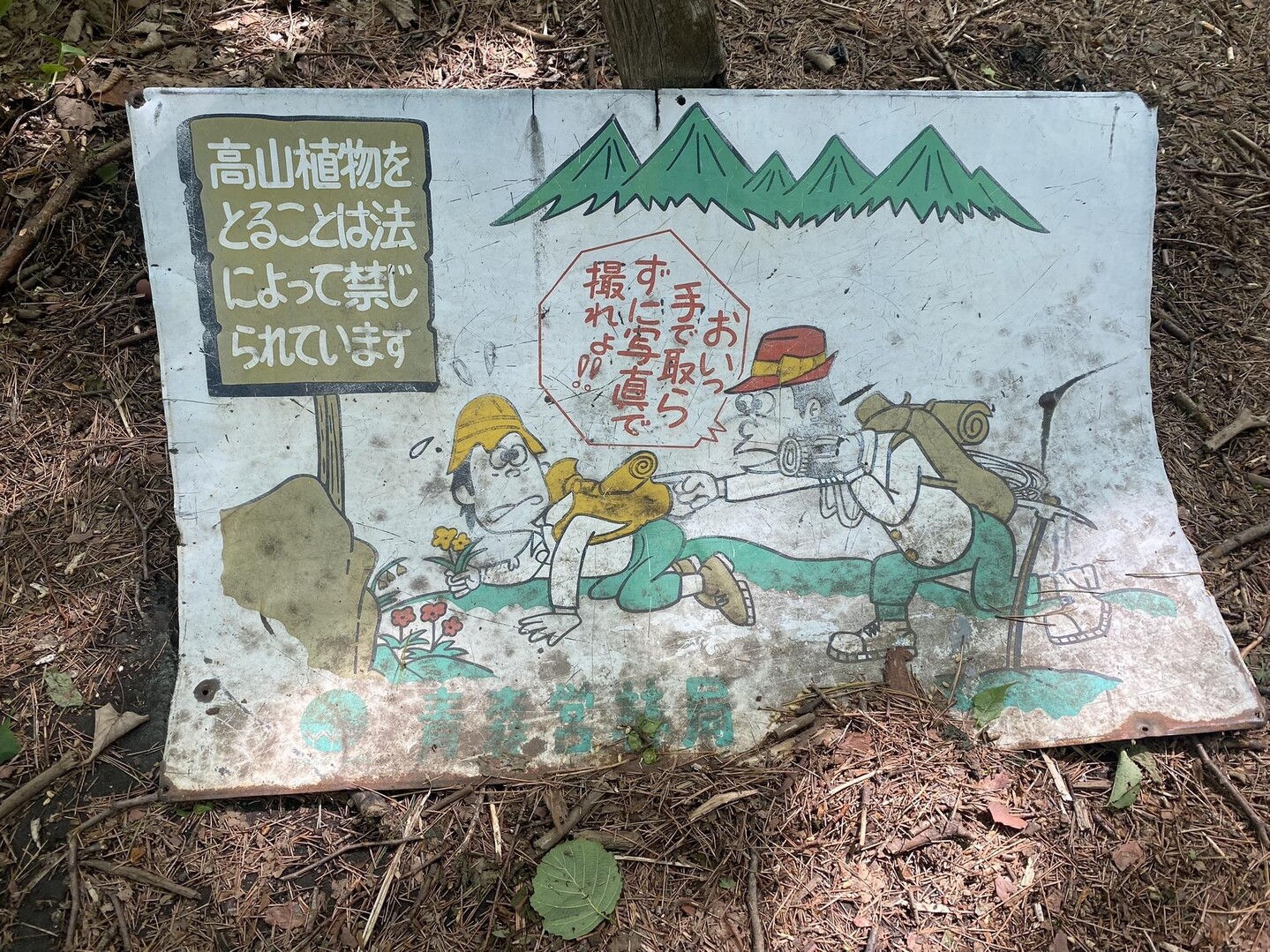 姫神山 / arataさんの姫神山の活動データ | YAMAP / ヤマップ