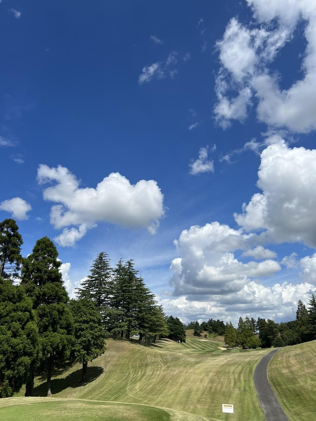 今日も猛烈な暑さと勝負！ 絶好調だから楽... / ゆきおとこさんのモーメント | YAMAP / ヤマップ