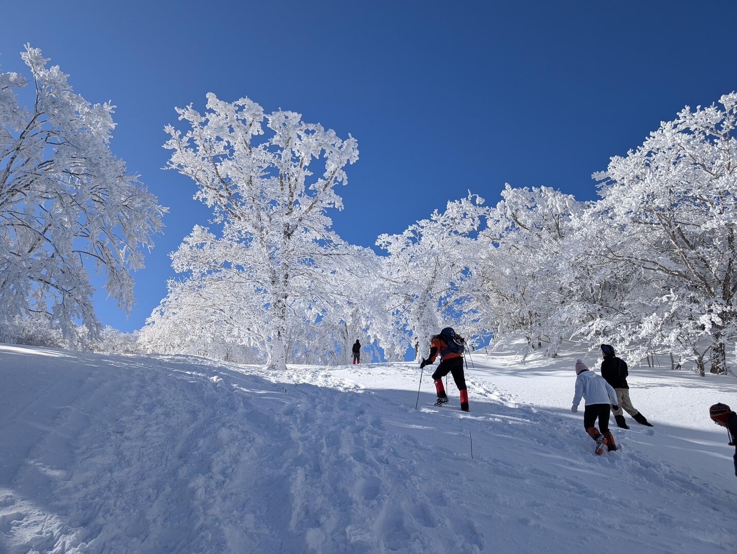 青空眩し白銀の明神岳 SOTA#JA/ME-002 / solo＊walker/midoさんの桧塚奥峰・明神岳・薊岳の活動日記 | YAMAP / ヤマップ