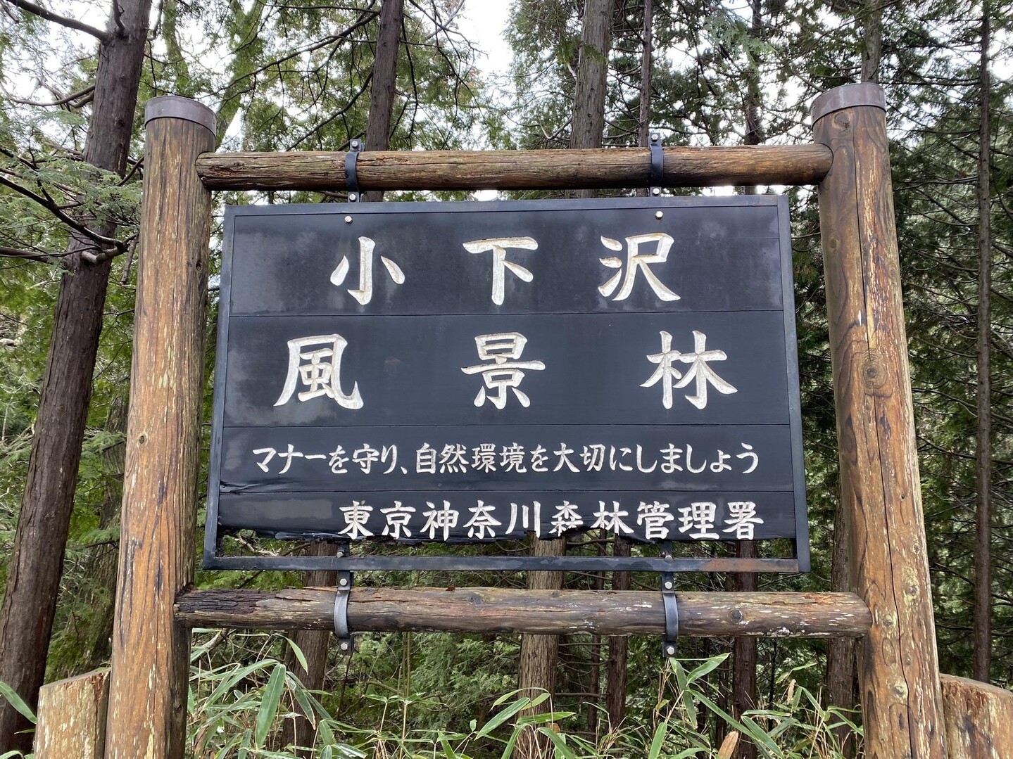 北高尾山稜 縦走⛅️ / Sam55さんの高尾山・陣馬山・景信山の活動データ | YAMAP / ヤマップ