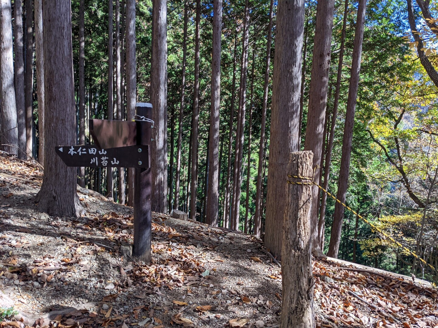 Stevenさんの投稿したフィールドメモ | YAMAP / ヤマップ