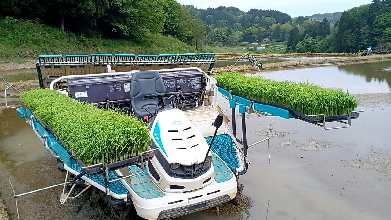 田植え1日目2024-04-27 / hanabuさんのウォーキングの活動日記 | YAMAP / ヤマップ