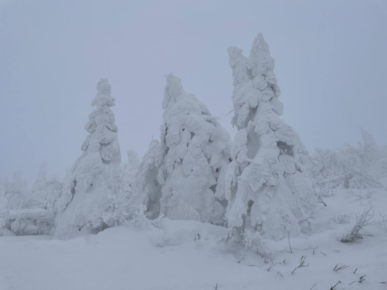 1/3(月)娘とスキー！ 3時間券で、前... / keiさんのモーメント | YAMAP / ヤマップ