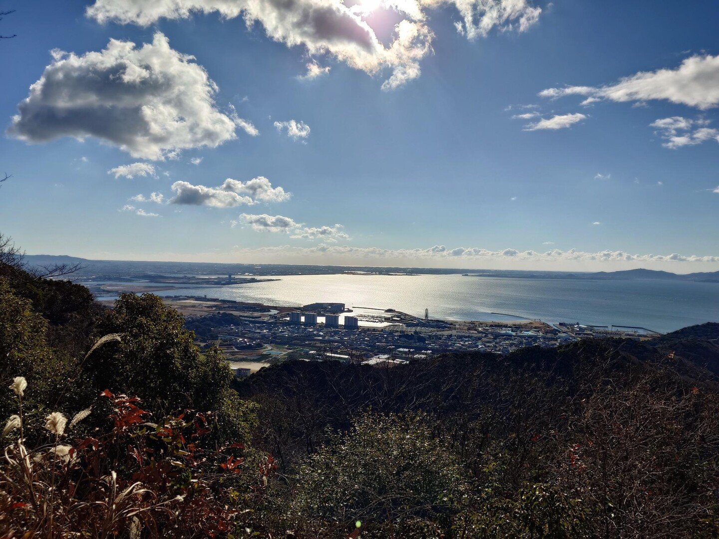 御堂山・マラ山・砥神山・原山 / isoさんの五井山・宮路山・御堂山の活動データ | YAMAP / ヤマップ