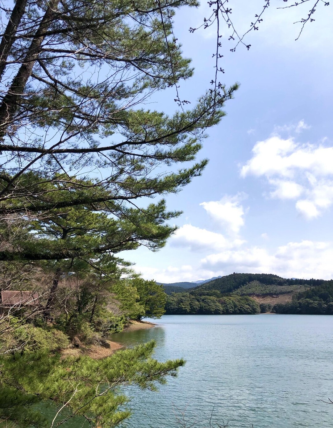 野岳湖公園〜鉢巻山展望所〜しゃくなげ公園... / 太郎さんのモーメント | YAMAP / ヤマップ