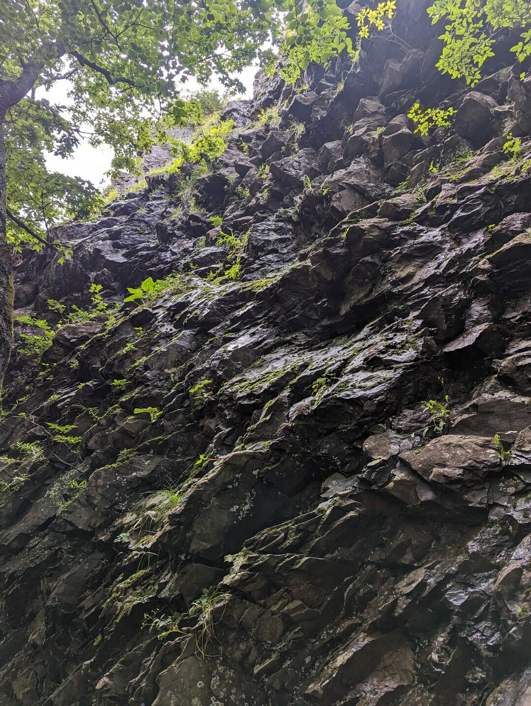 鎌倉山 左リッジ / vizosoさんの鎌倉山の活動データ | YAMAP / ヤマップ