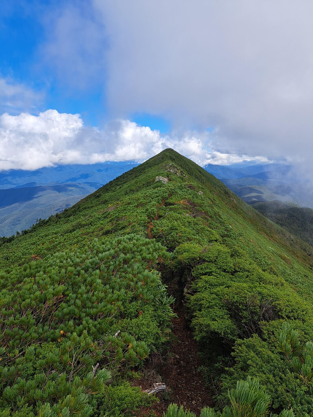 早池峰山・早池峰剣ヶ峰 / Soraさんの早池峰山・薬師岳・鶏頭山の活動データ | YAMAP / ヤマップ