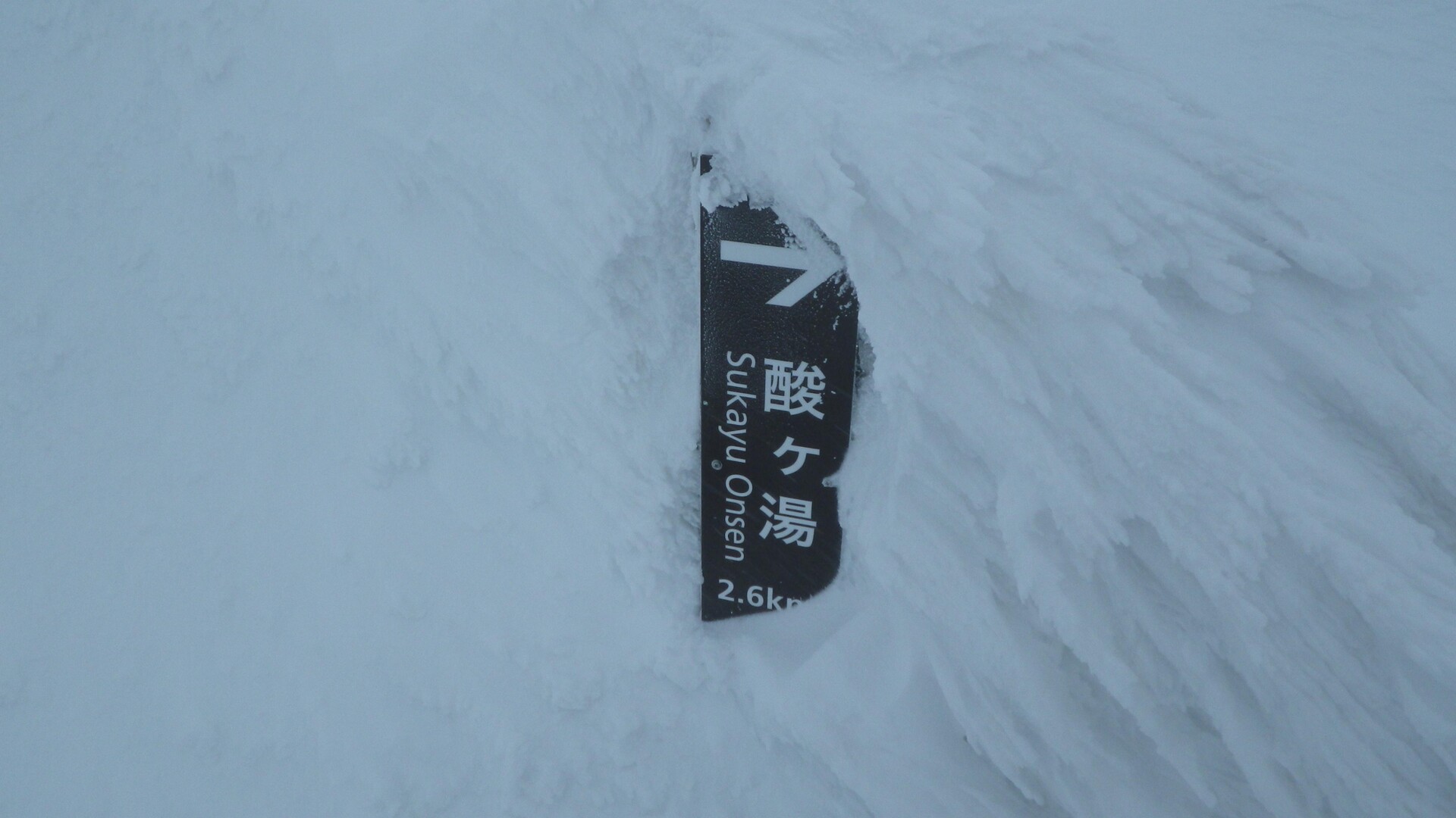 今季初の八甲田山 / riseさんの八甲田山・高田大岳・雛岳の活動データ | YAMAP / ヤマップ