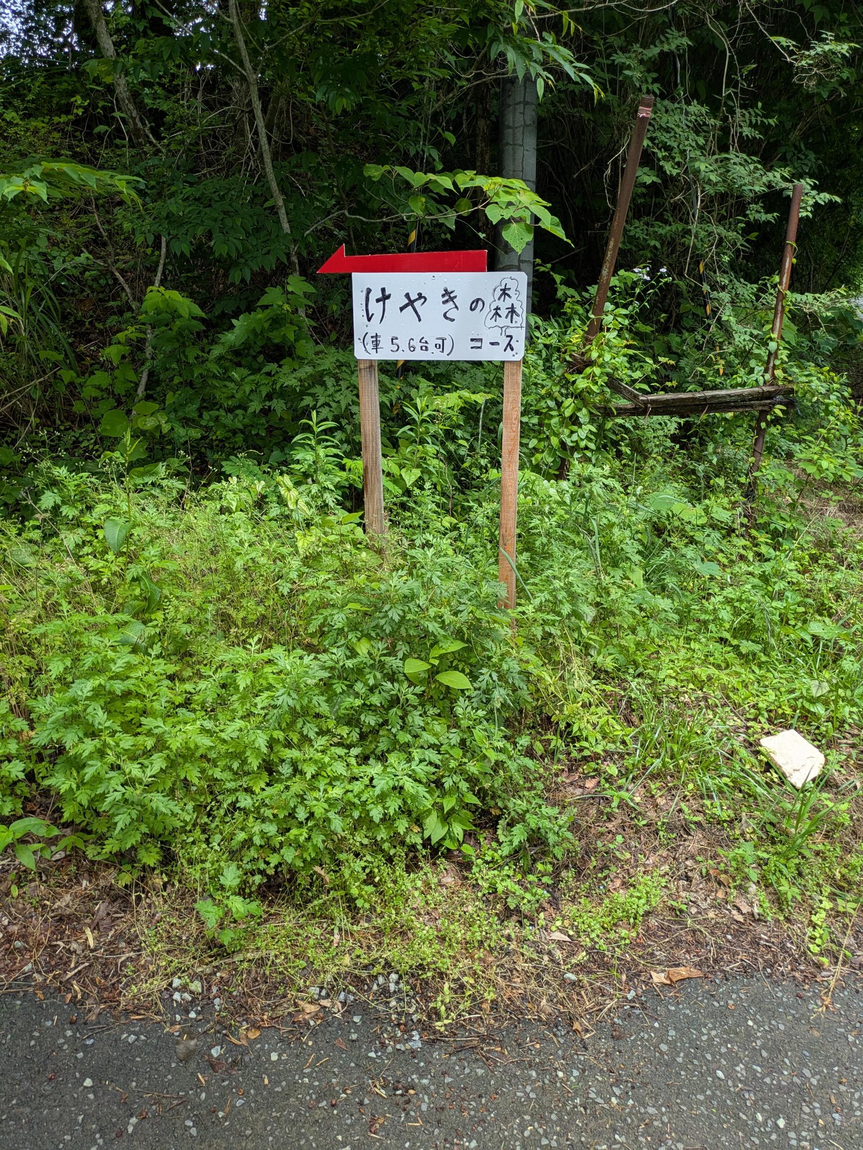 鹿狼山 ケヤキの森コース〜樹海コース / まーさんの鹿狼山の活動データ | YAMAP / ヤマップ