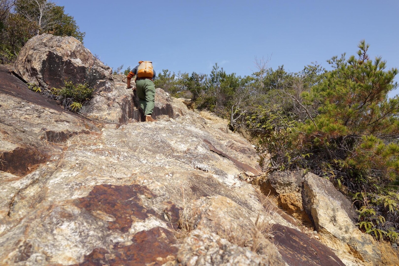 満願寺西山 長尾山 中山478M☁️ / chibyさんの中山・大峰山の活動データ | YAMAP / ヤマップ