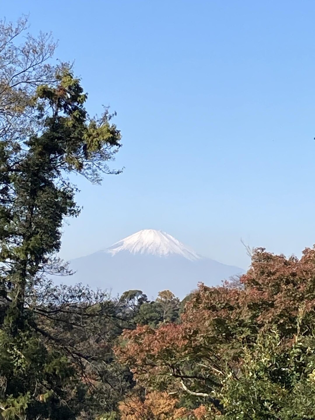 勝上山・鷲峰山・大平山・天園・天台山・胡桃山 / west.topさんの鎌倉アルプス（大平山・天台山）の活動データ | YAMAP / ヤマップ