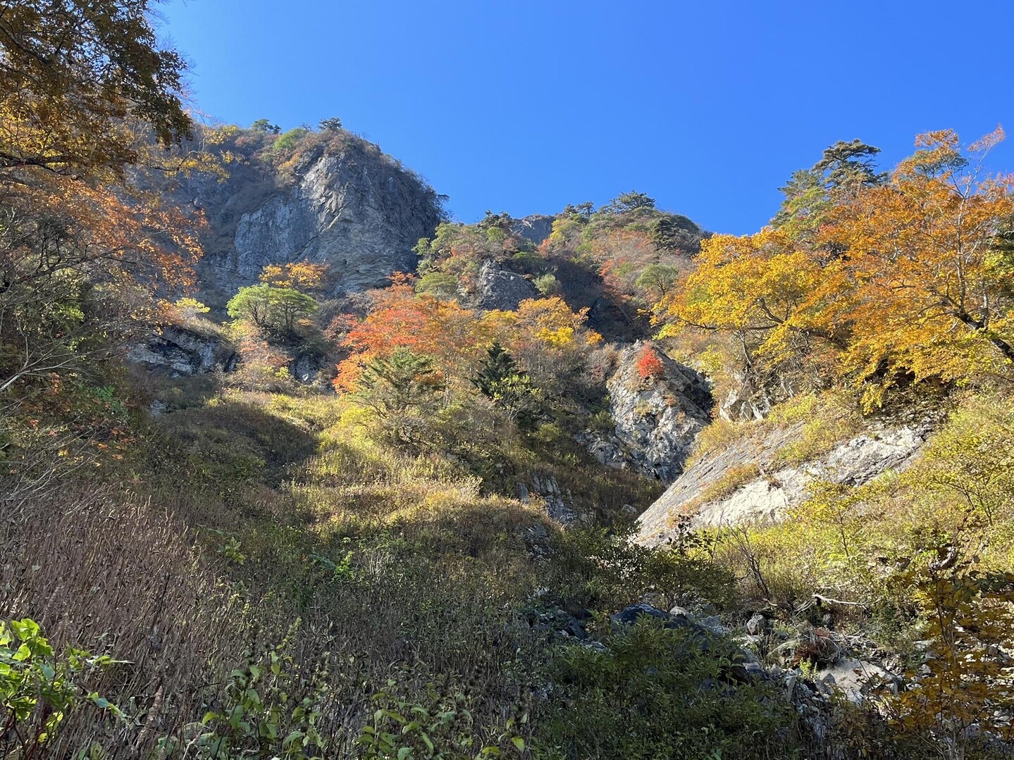 石鎚山グラウンドワーク(秋ver) / ehitomoさんの石鎚山・堂ヶ森・二ノ森の活動データ | YAMAP / ヤマップ