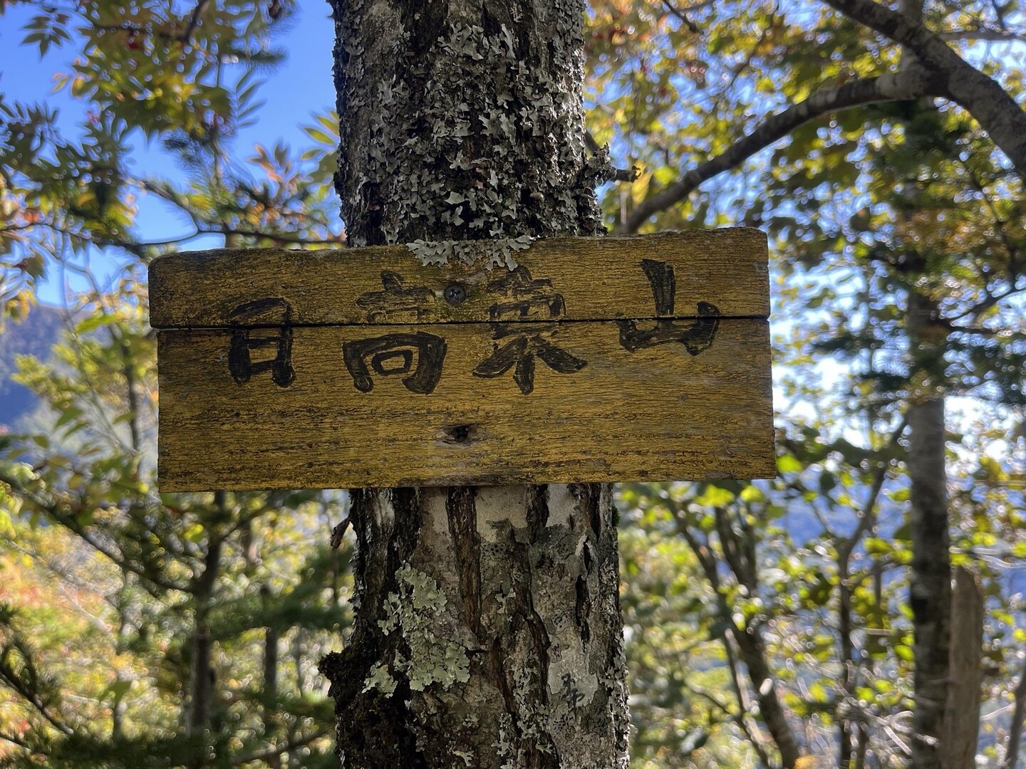 日高東山・ピークハント / sweetyouさんのGT3 8の活動データ | YAMAP / ヤマップ