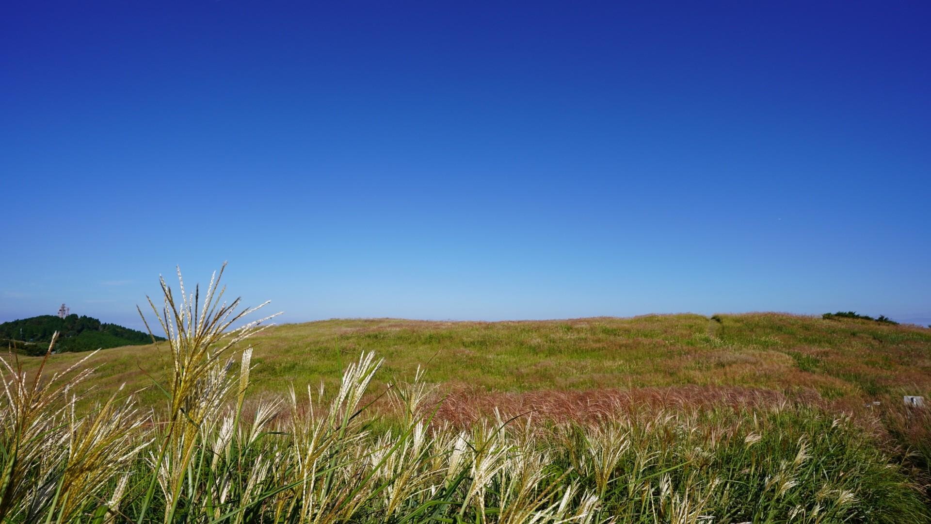生石ヶ峰2022.9.16 / ENAJIさんの生石ヶ峰・生石高原の活動データ | YAMAP / ヤマップ