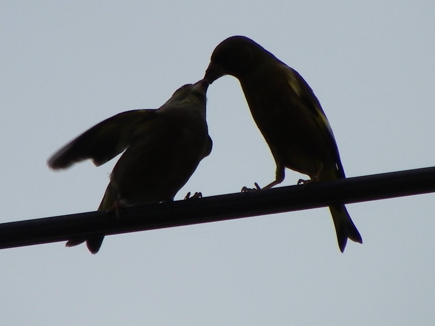 banyerのページ | YAMAP / ヤマップ