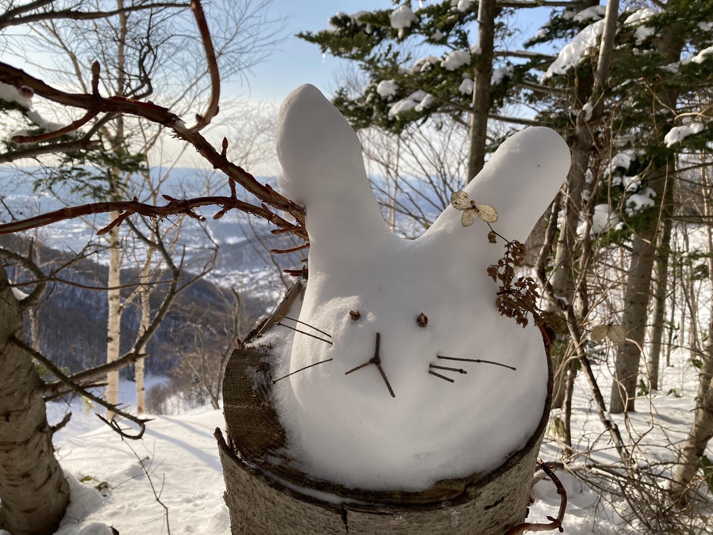朝活藻岩山。。🐰、お名前が ️ / 2525bbさんの藻岩山の活動日記 | YAMAP / ヤマップ
