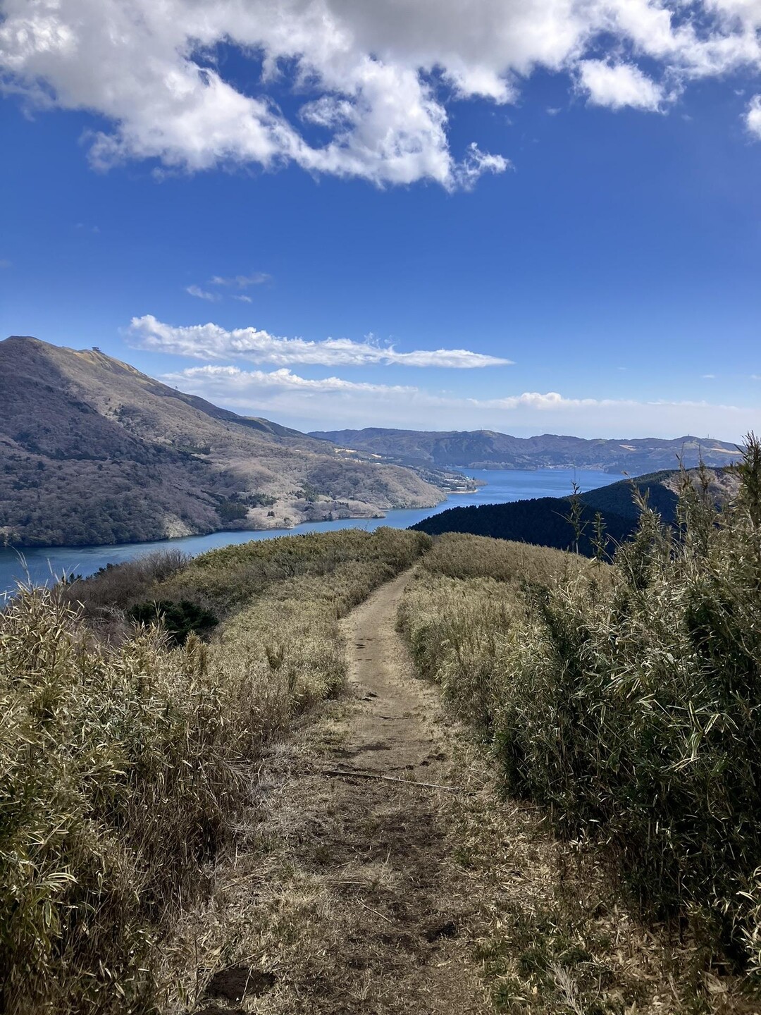 箱根ガイリーン🏃💦 / KIYAtさんの箱根山・神山の活動データ | YAMAP / ヤマップ