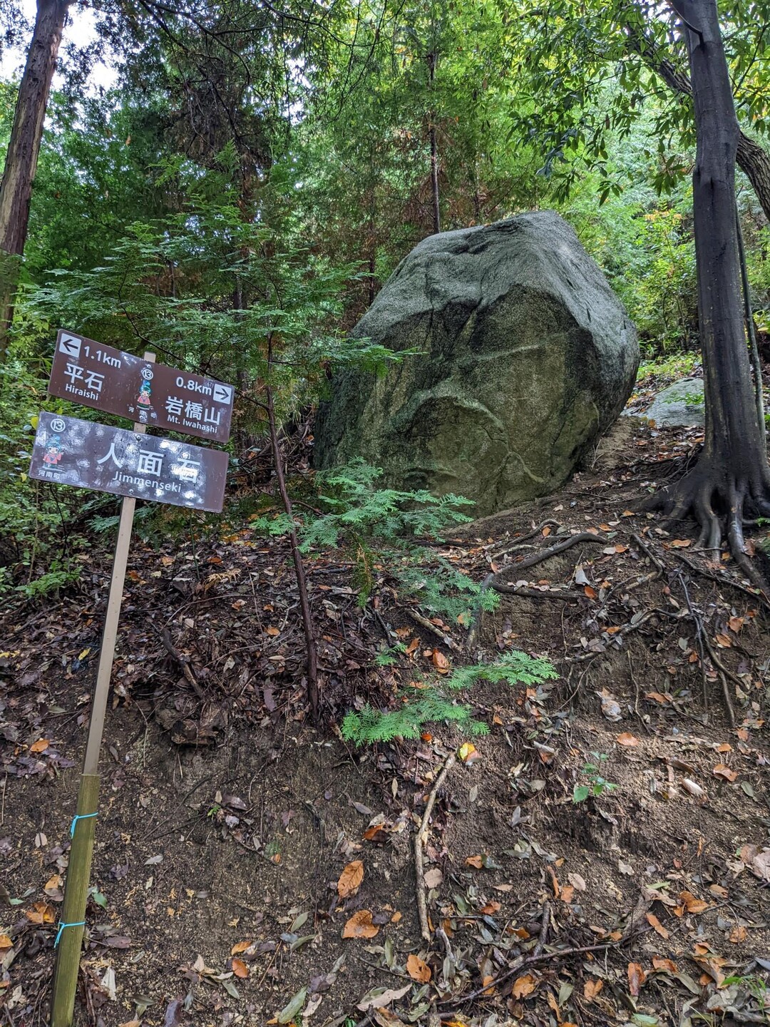 Tkさんの投稿したフィールドメモ | YAMAP / ヤマップ