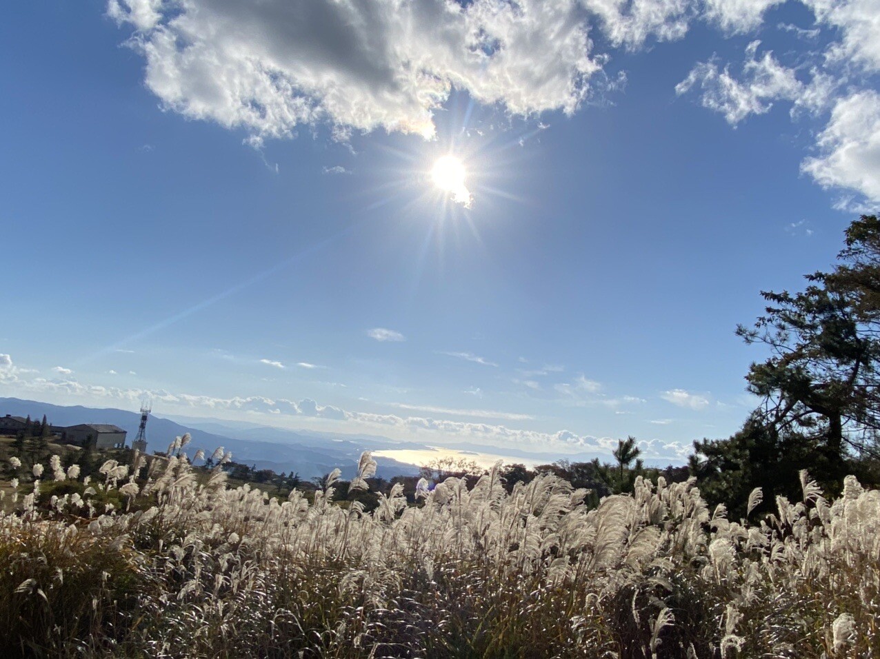 徳蔵山・伊吹山 / akkiさんの伊吹山・伊吹高原・御座峰の活動データ | YAMAP / ヤマップ