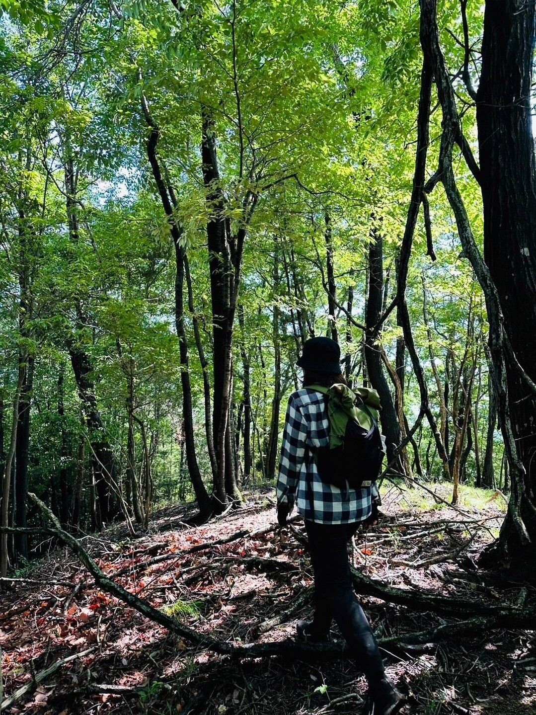 天気回復3座追加ピークハント② / kakoさんの金山（新田金山）・八王子丘陵の活動データ | YAMAP / ヤマップ