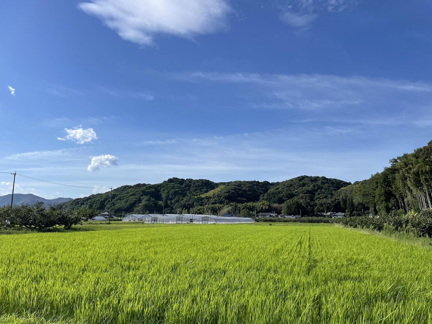 船来山・郡府山 / MKSハイキングさんの船来山・郡府山の活動データ | YAMAP / ヤマップ