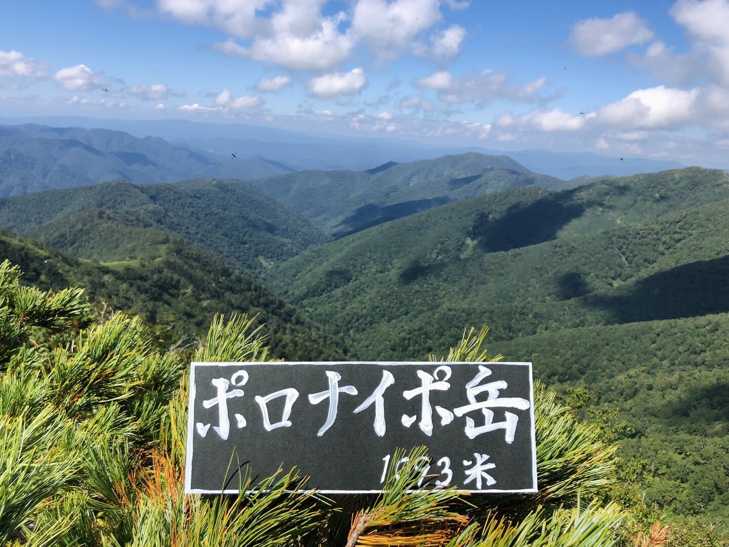 ウエンシリ岳・ポロナイポ岳 / FUM!さんのウエンシリ岳の活動データ | YAMAP / ヤマップ